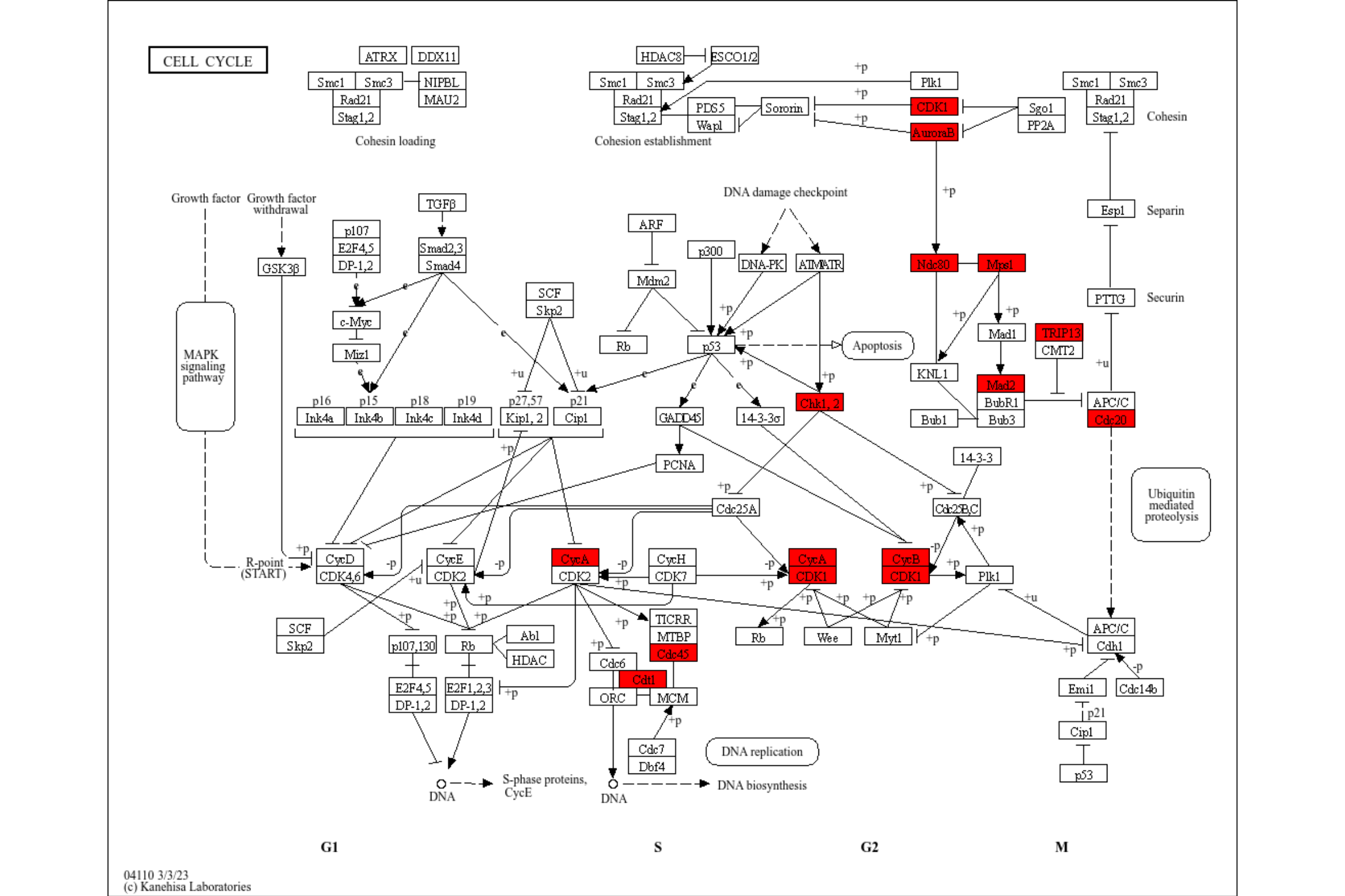 Chapter 2 Pathway | ggkegg