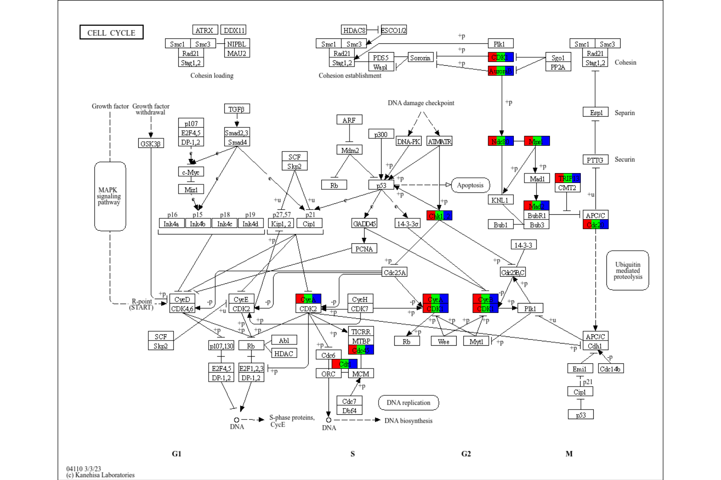 Chapter 2 Pathway | ggkegg