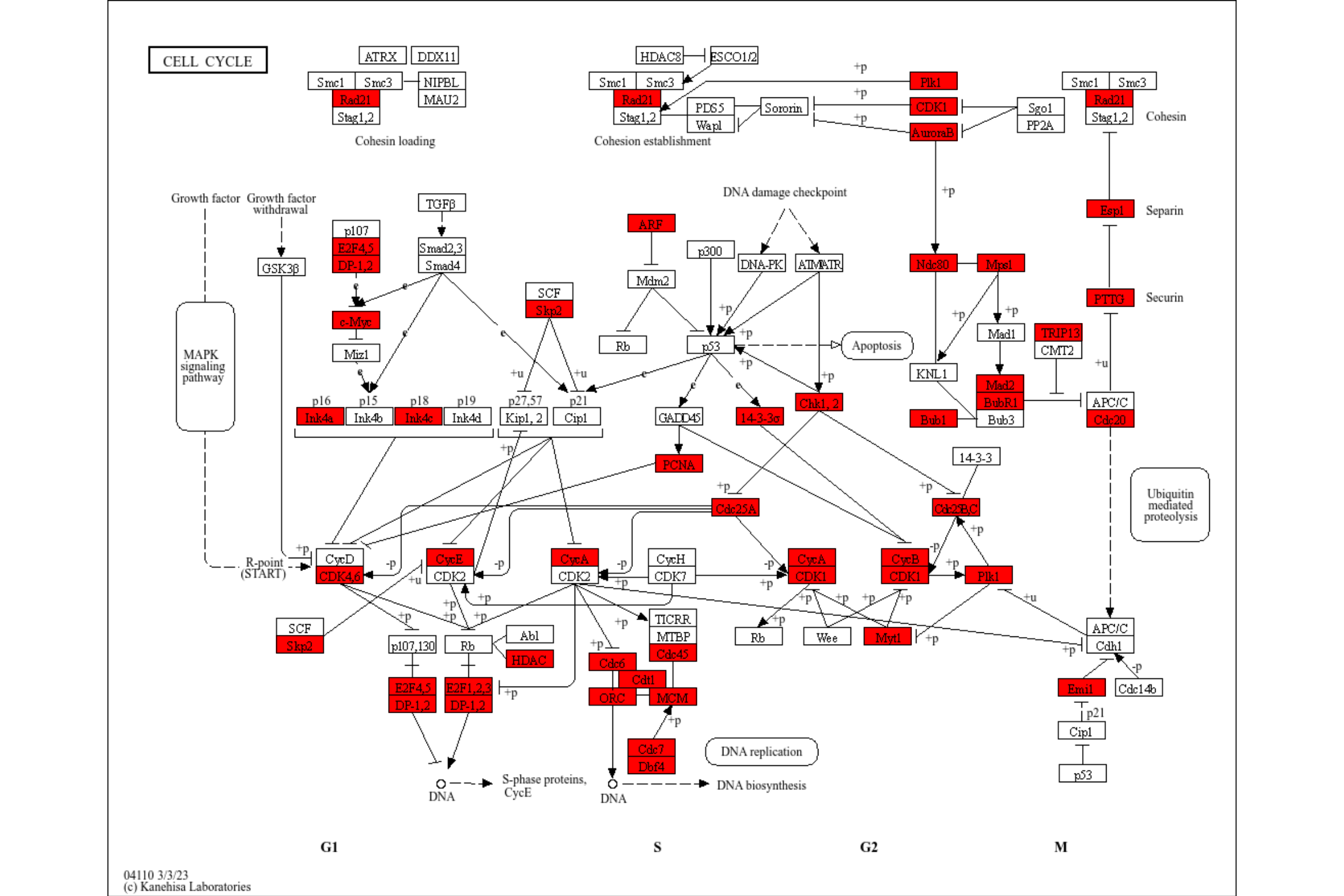 Chapter 2 Pathway | ggkegg