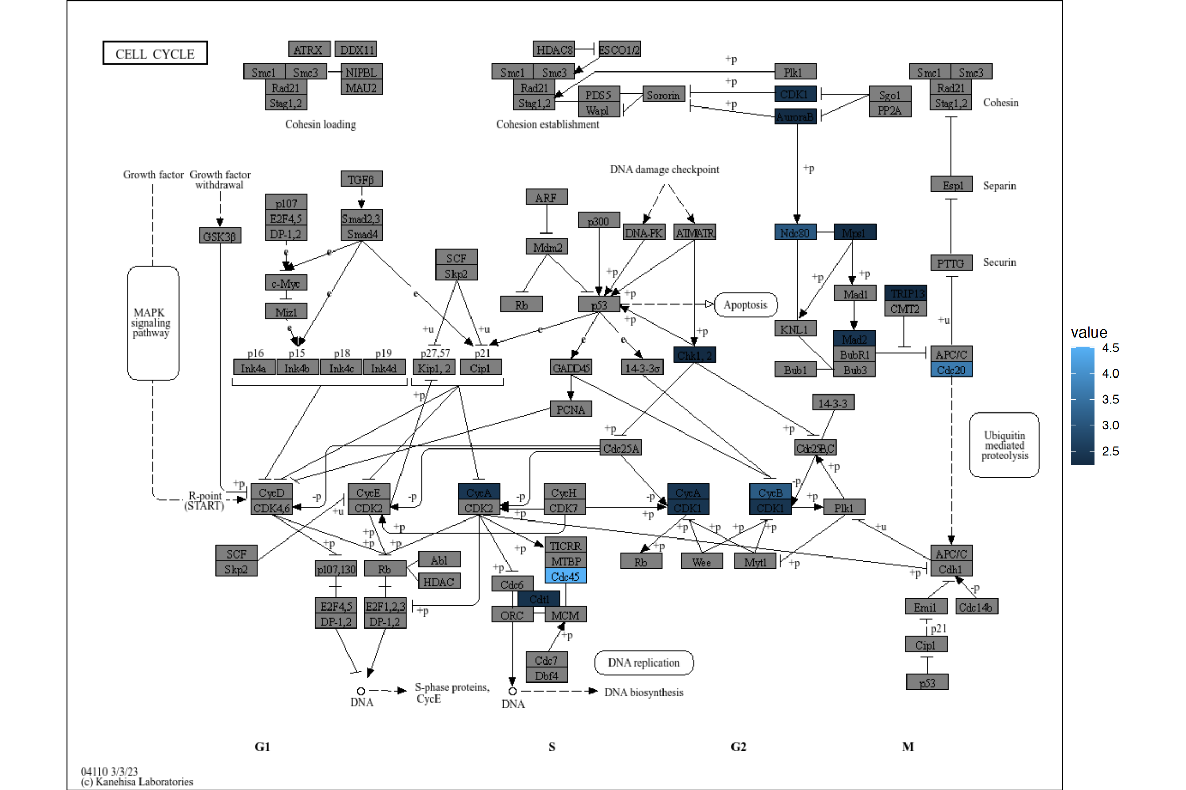 Chapter 2 Pathway | ggkegg