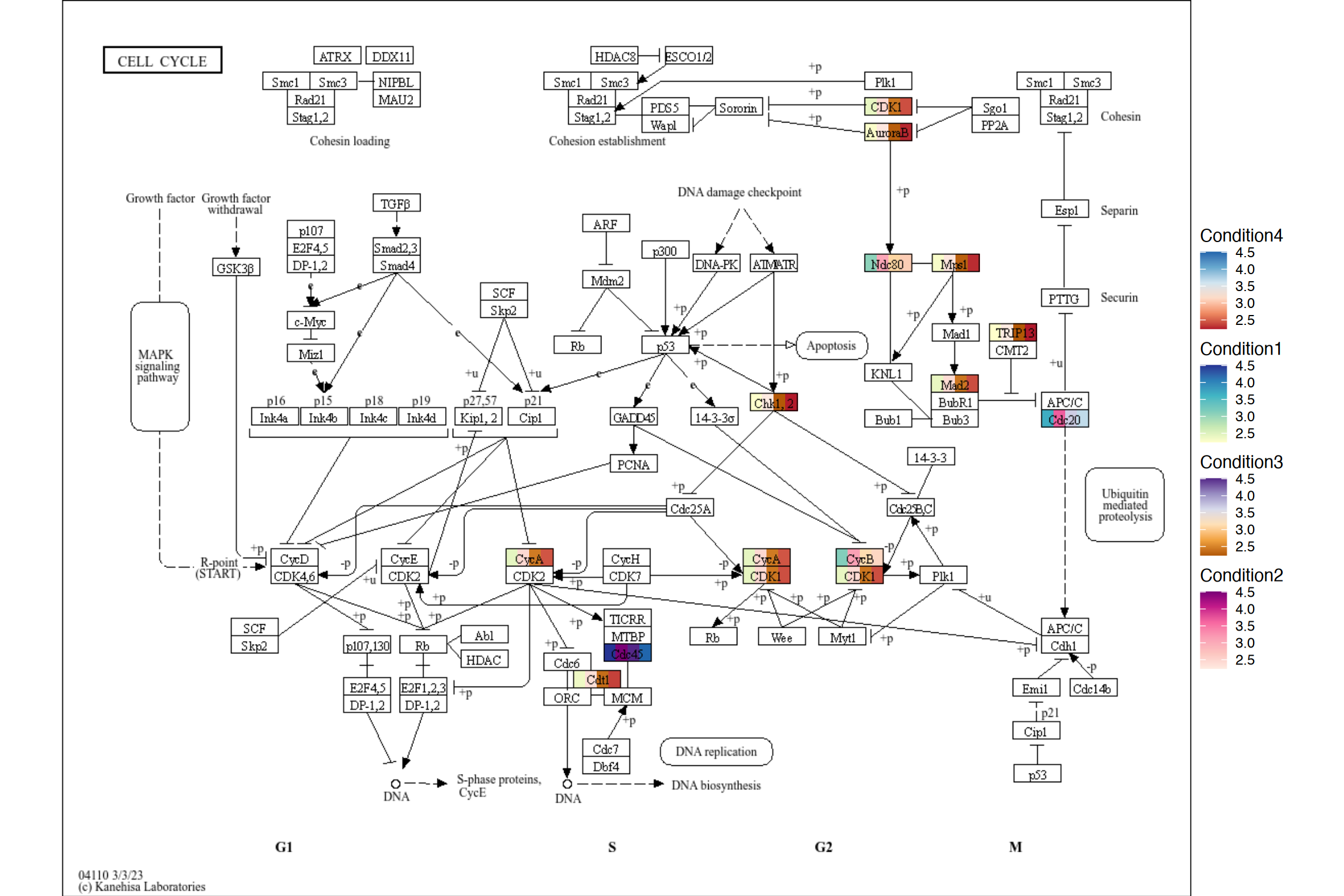 Chapter 2 Pathway | ggkegg